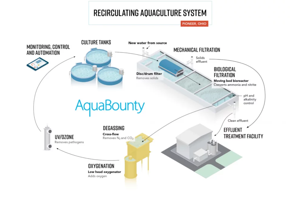Recirculating Aquaculture System Diagram